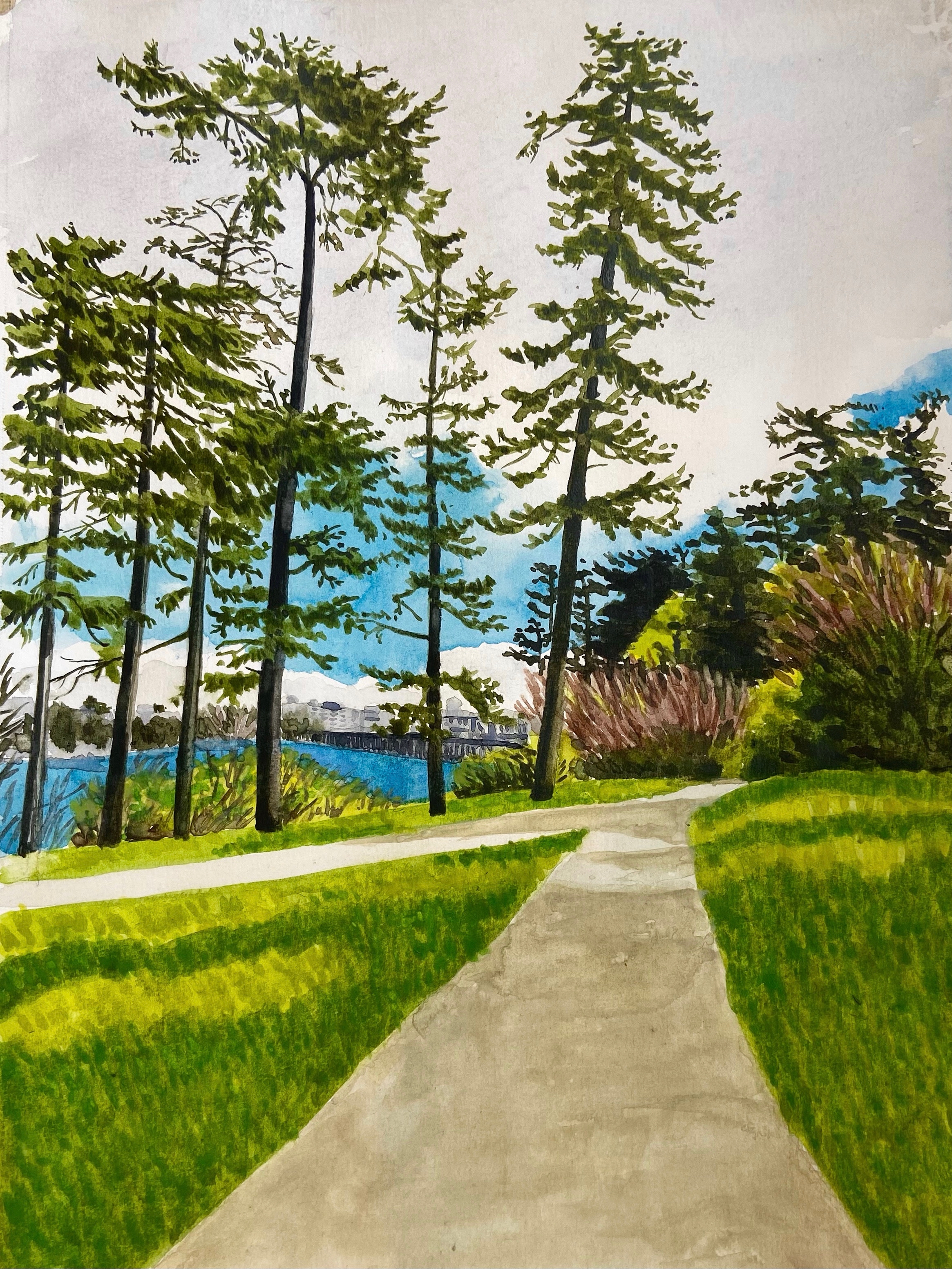 Watercolour – LIZ CHARSLEY